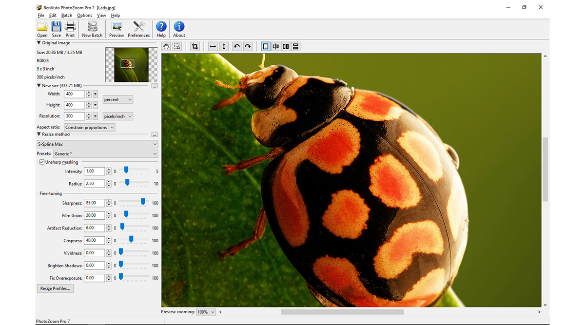 PhotoZoom Pro 7 zur Bildskalierung | ProfiFoto