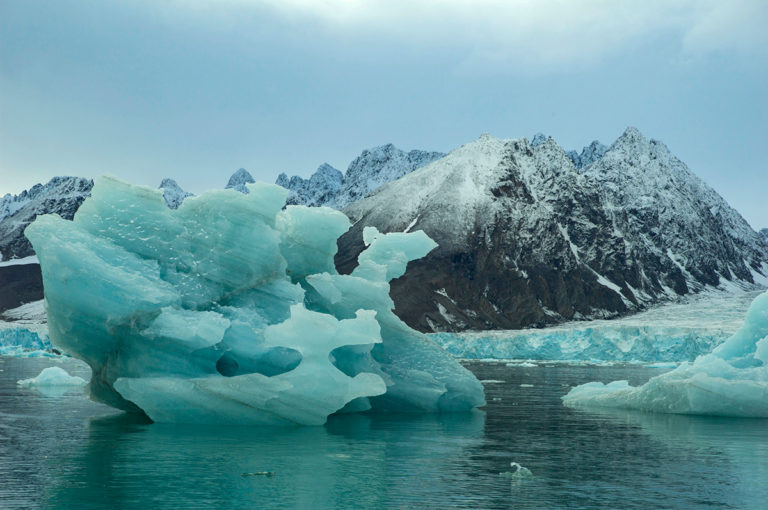 Norddeutsche Naturfototage | ProfiFoto