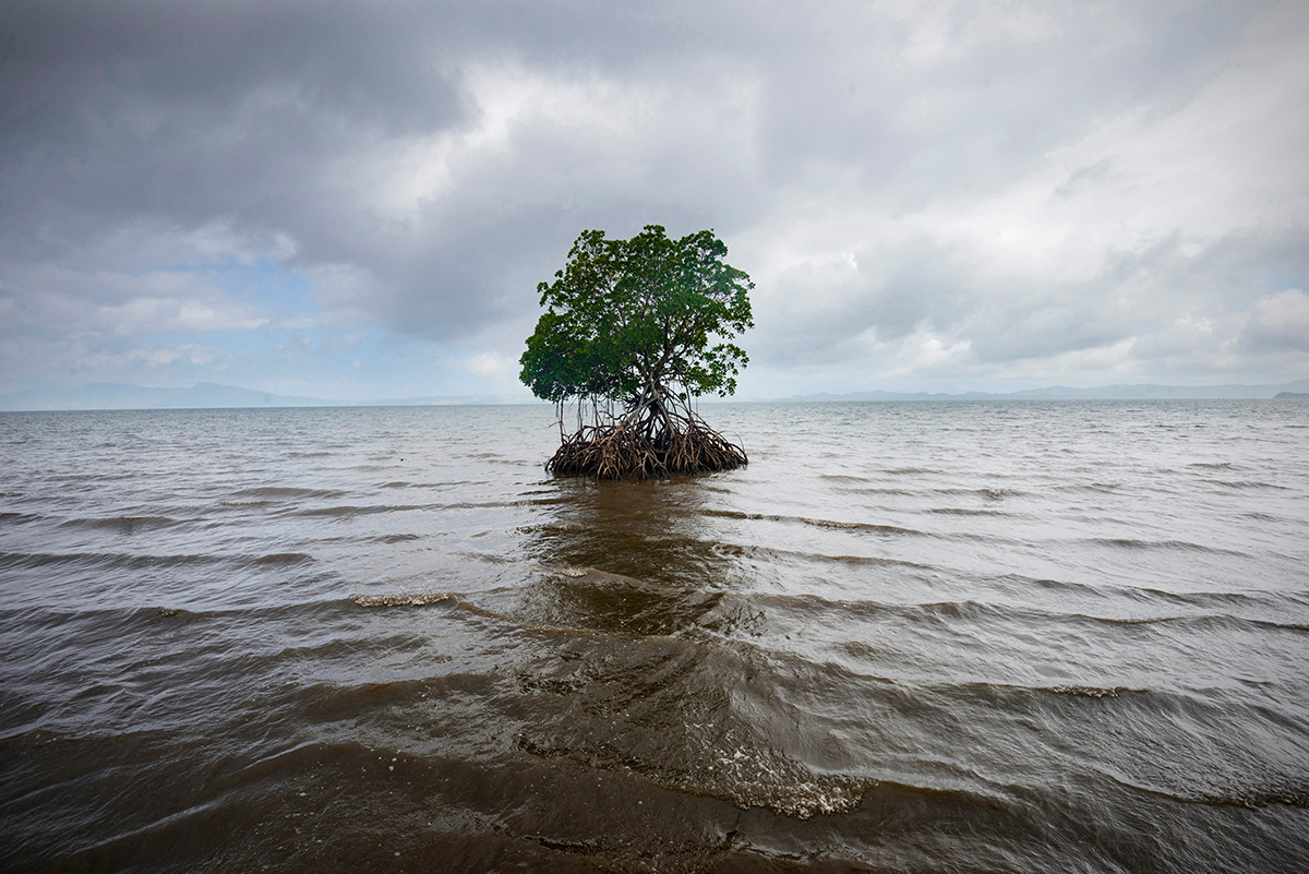 Climate change / sea-level rise in Fiji | ProfiFotoProfiFoto