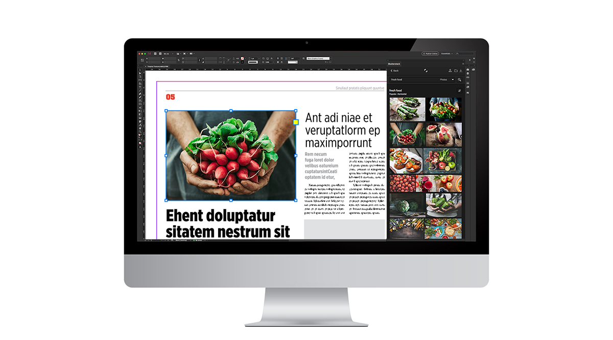 Plug-in zur Integration mit Adobe Creative Cloud | ProfiFoto