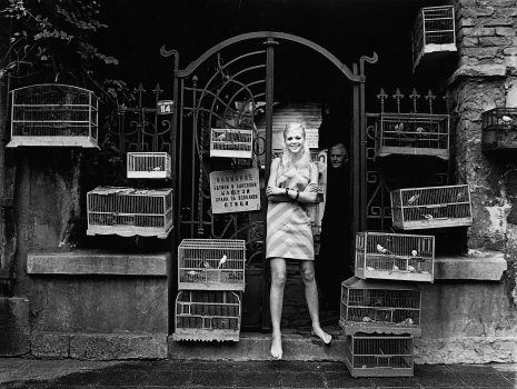 Günter Rössler: Akt und Mode | ProfiFoto