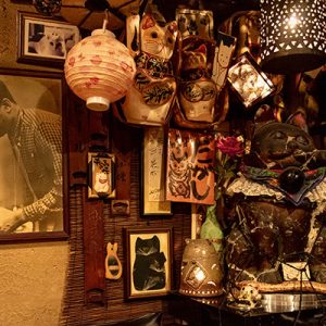 08_arneill_tokyo_jazz_ws | ProfiFoto